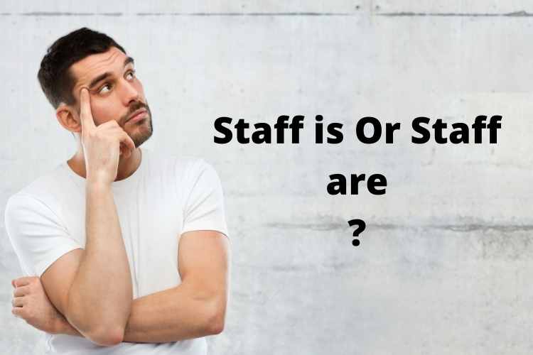 Staff Is Or Staff Are Which Is Correct To Use Info Dispatcher Staff Is Or Staff Are Which Is Correct To Use Info Dispatcher